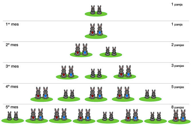FIBONACCI - Página web de matesymates