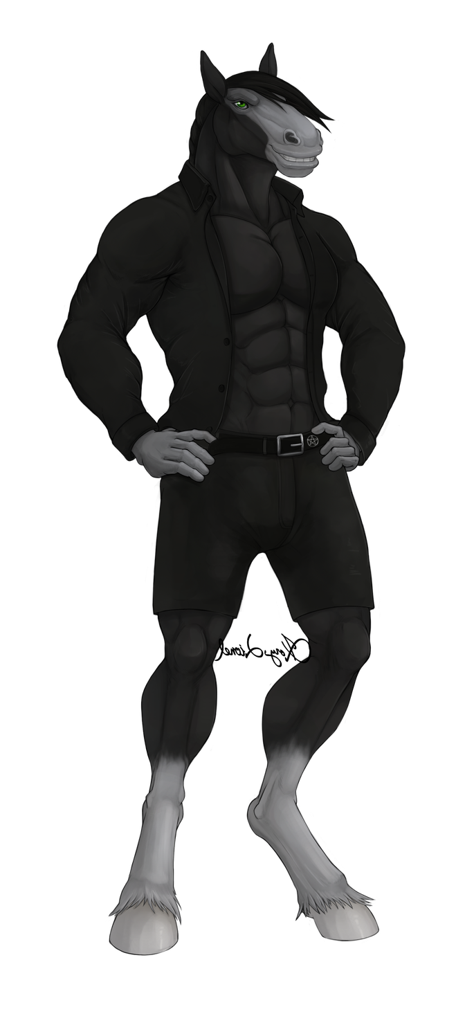 How to - bl-animations Webseite!