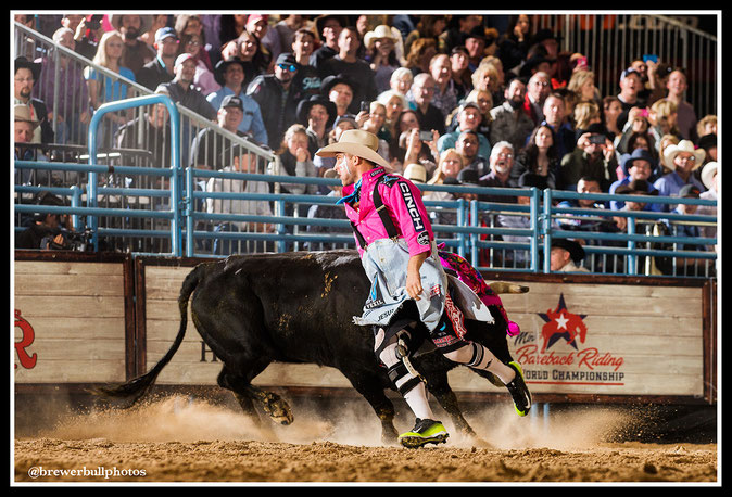 Q&A with Justin Josey - BullfightersOnly.com