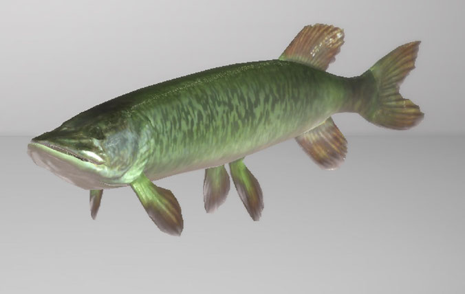Fischarten - caruptors-fishingplanet-guides Webseite!
