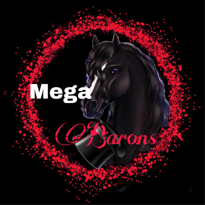 Start - megabarons-starstables Webseite!