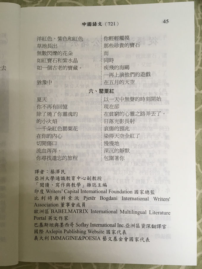 CHINESE PORTFOLIO - Benvenuti su lidiachiarelli!