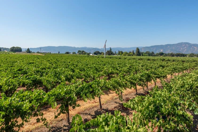 Talmage Region - Californiawines