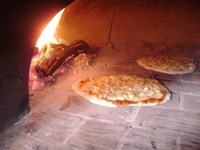 Galeria de Fotos - www.dinasol.com.py