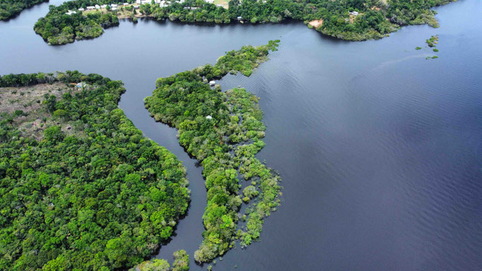 Amazon Wildlife Tourism - Amazonas Nature