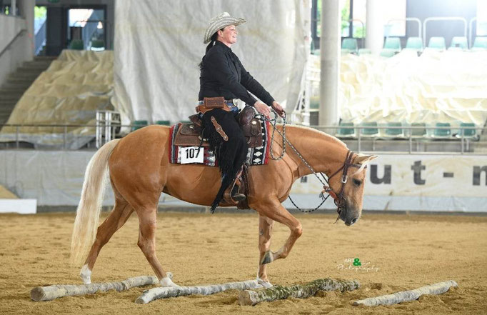 Big Guns Lady Rietta - Leos Eternal Norfleet Paint Horse Hengst All ...