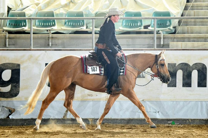 Big Guns Lady Rietta - Leos Eternal Norfleet Paint Horse Hengst All ...