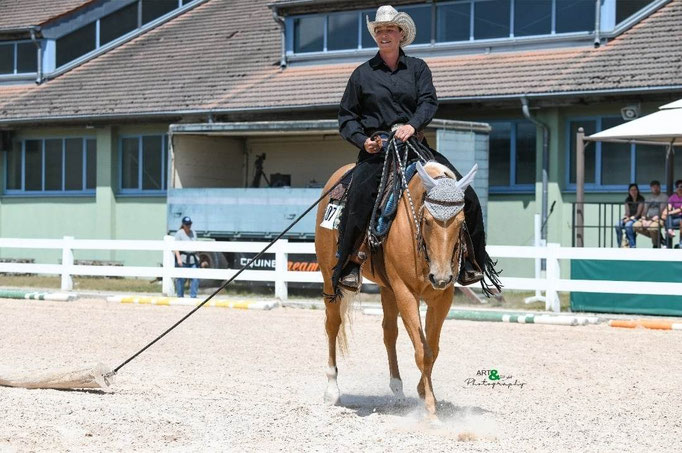 Big Guns Lady Rietta - Leos Eternal Norfleet Paint Horse Hengst All ...