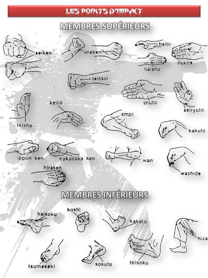 Techniques de poings - Karaté - ADK - Art Défénse Karaté - Aubagne ...