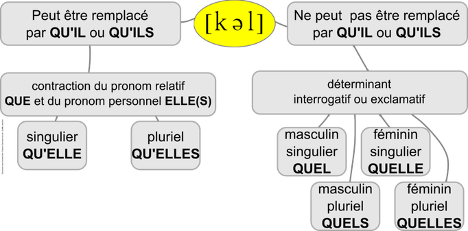 [Leçon] Les homophones : quel, quelle, qu'elle - L'orthophile