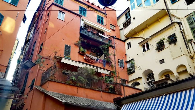 Die Authentische: Genua Hafen & Altstadt - Stadtpfade