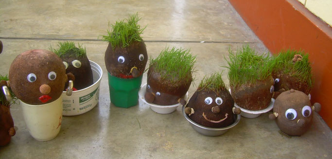 Señor cabeza de pasto. - elblogdeprimero