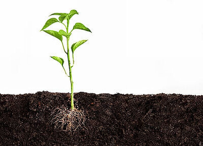 AG-ZYME アグザイム - japanenzymes ページ！