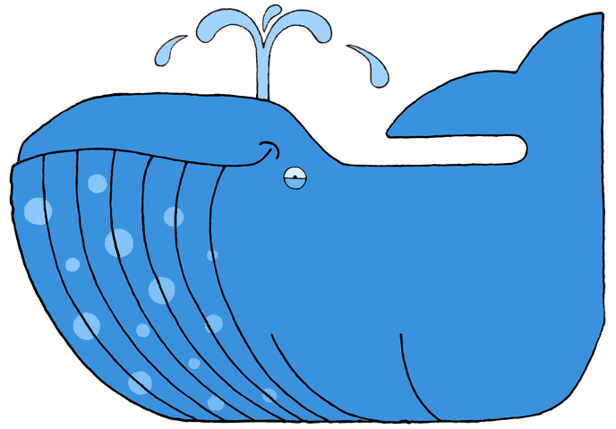 blauwal info - Give me Ocean