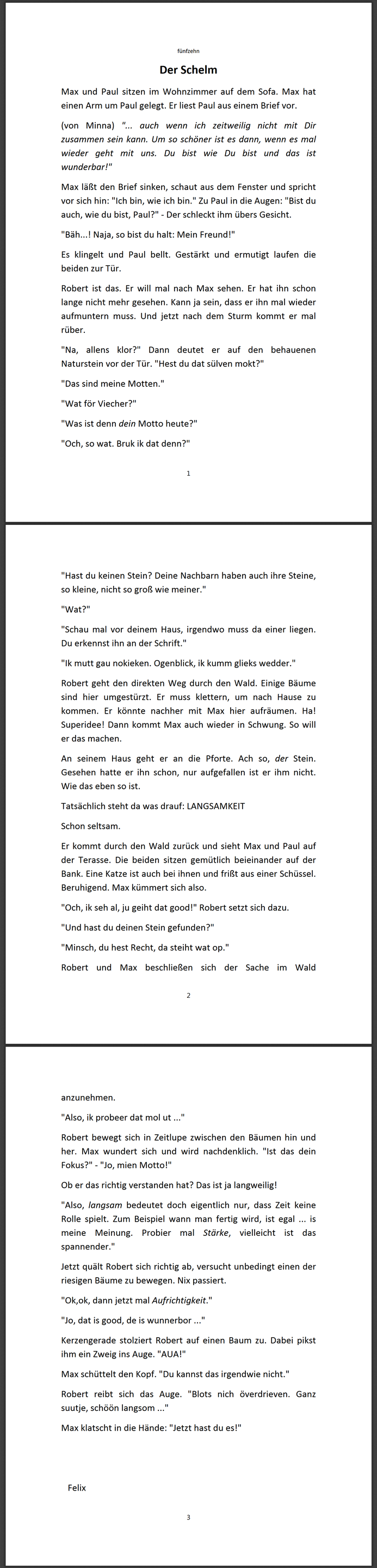 15 Der Schelm - Die Abenteuer von Max