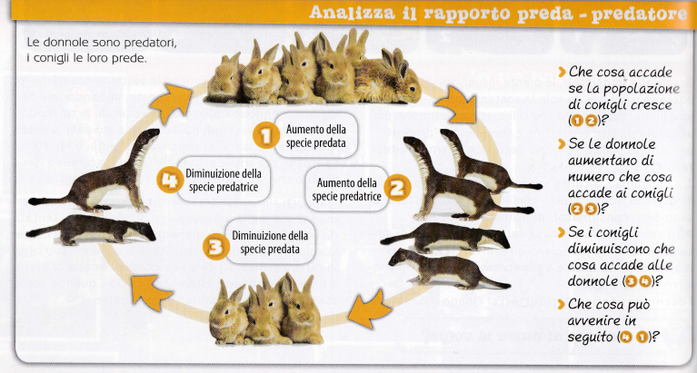 SCIENZE: classe seconda - Benvenuti su volendostudiare!