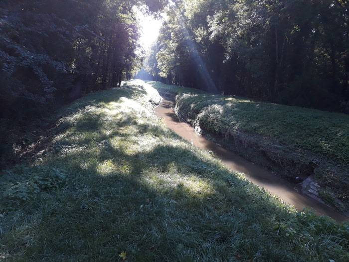 Schwetzinger Hardt - Radtouren in der Kurpfalz
