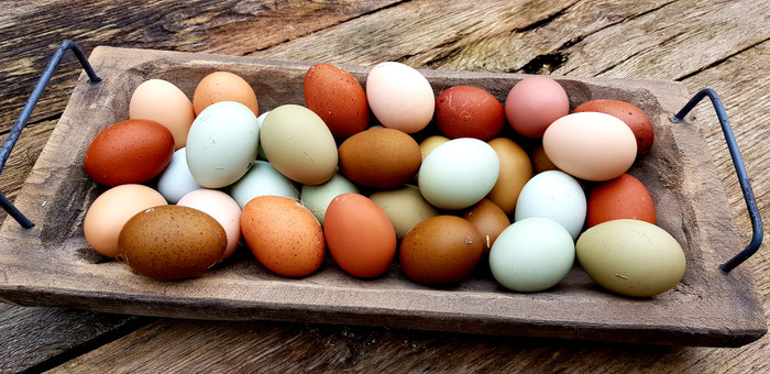 Willkommen auf der -Cocky Locky Farm- - Naturbunte Eier von alten ...