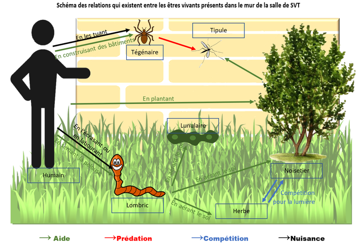 Chapitre 5 : Notre environnement - Site de svtpmc