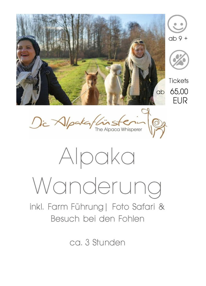 Farm Besuch, Foto Safari & ALPAKA WANDERUNG | ca. 3 Stunden - Die ...
