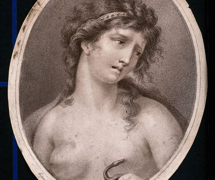 What, or who, REALLY killed Cleopatra? - History Skills