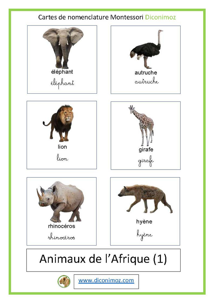 CARTES NOMENCLATURE ANIMAUX - Dictionnaire des animaux