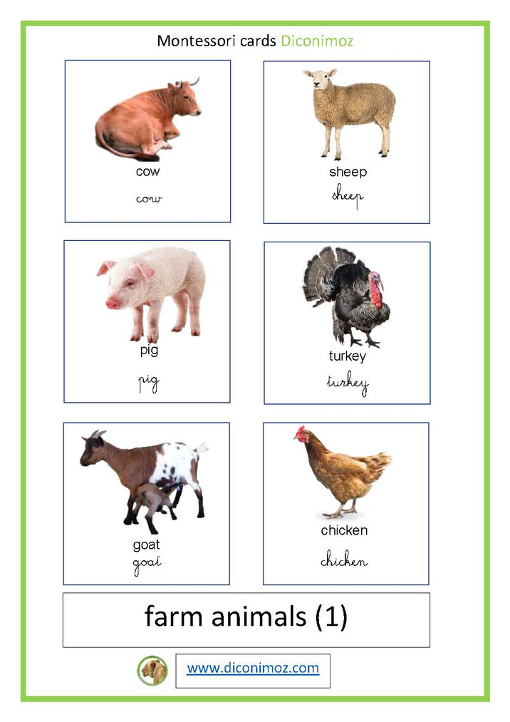 CARTES NOMENCLATURE ANIMAUX - Dictionnaire des animaux