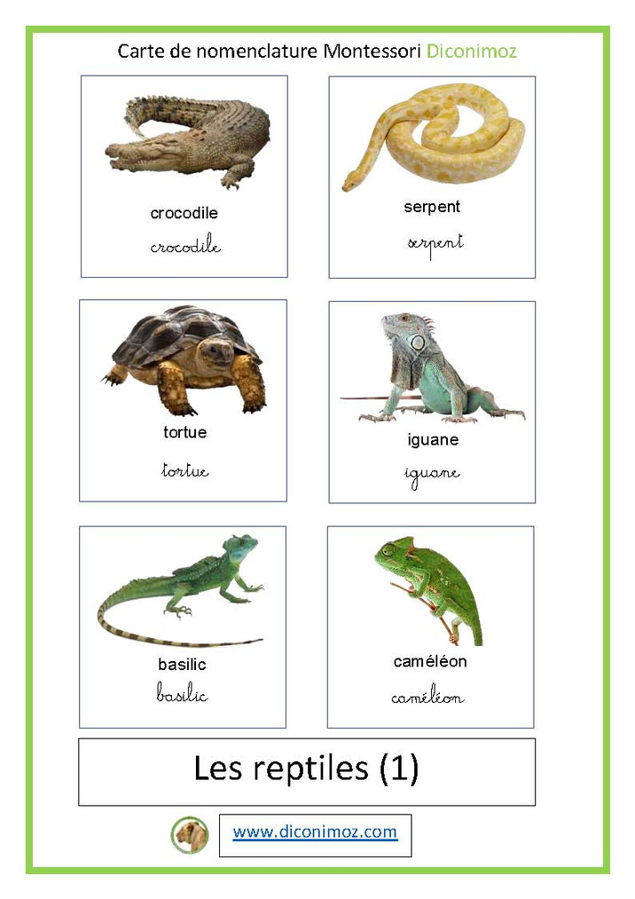 CARTES NOMENCLATURE ANIMAUX - Dictionnaire des animaux