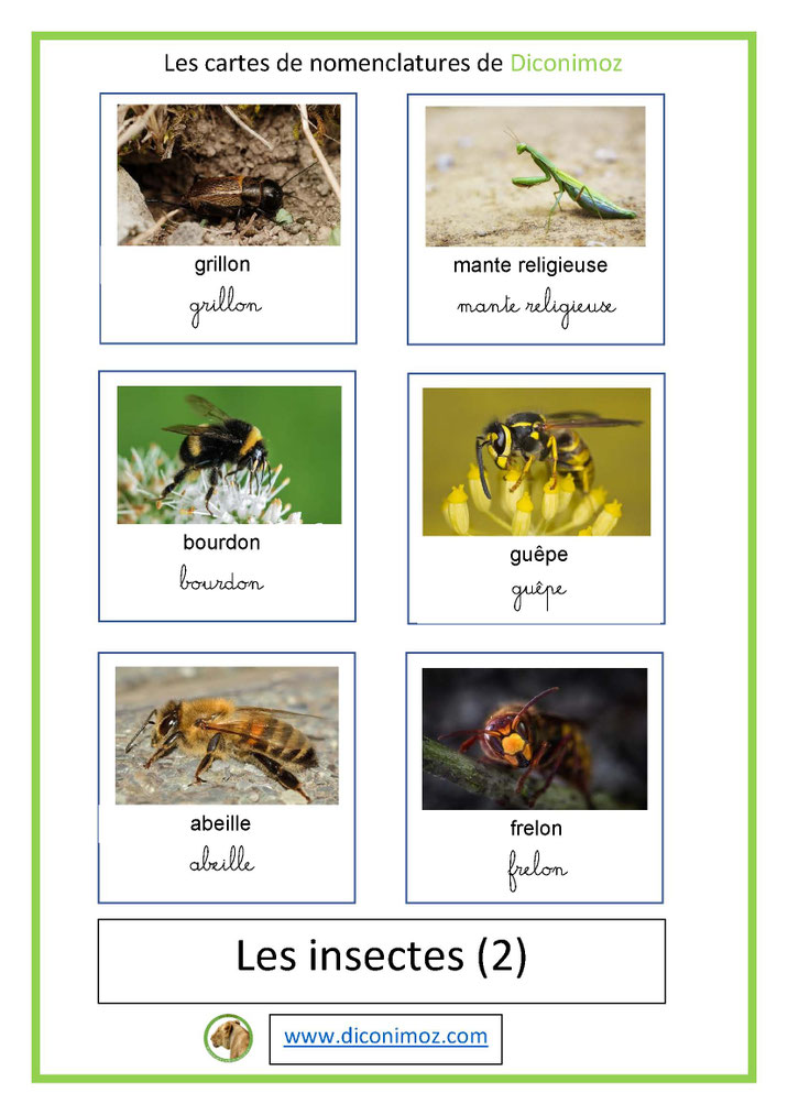 CARTES NOMENCLATURE ANIMAUX - Dictionnaire des animaux