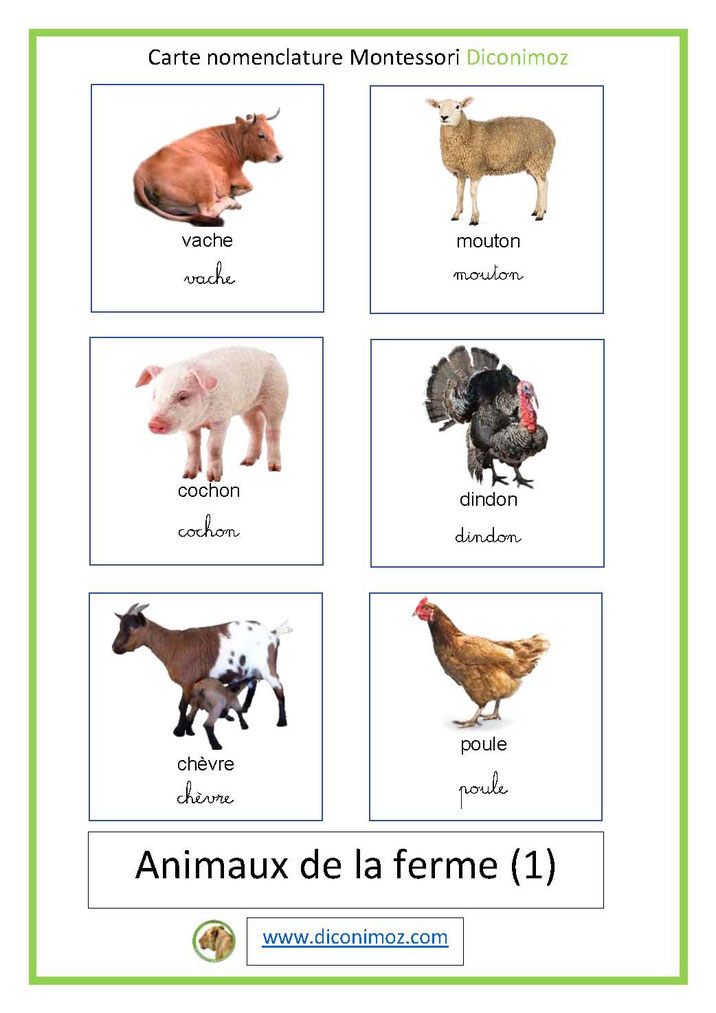 CARTES NOMENCLATURE ANIMAUX - Dictionnaire des animaux