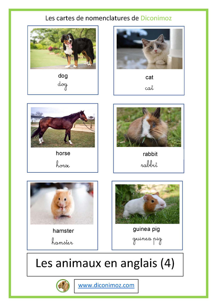 LISTE DES ANIMAUX EN ANGLAIS - Dictionnaire des animaux
