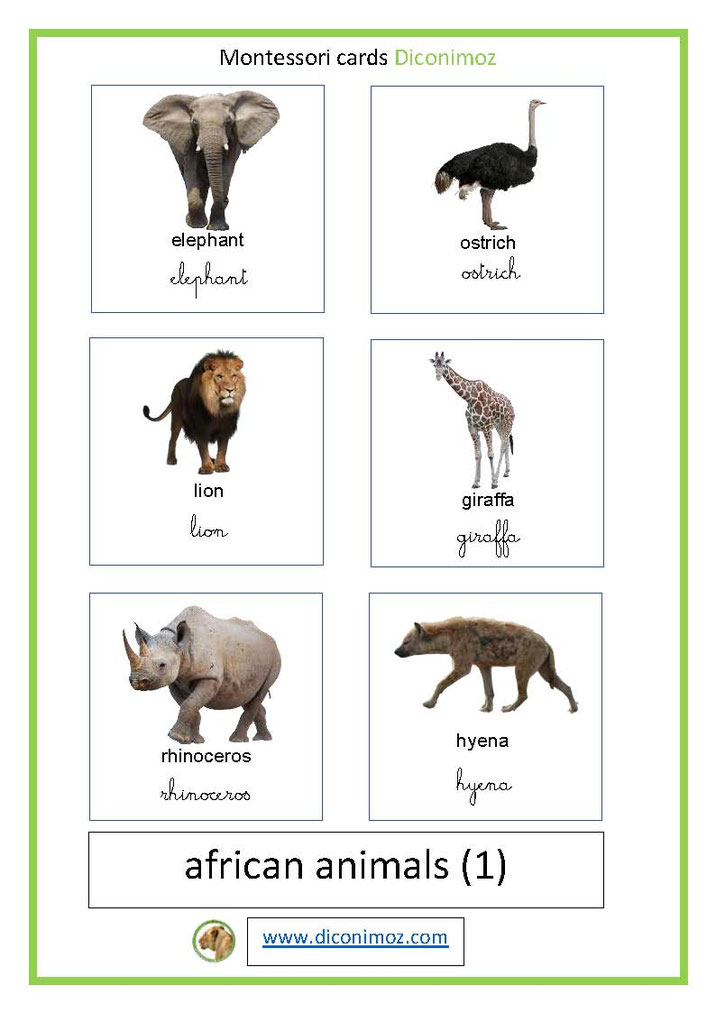 CARTES NOMENCLATURE ANIMAUX - Dictionnaire des animaux