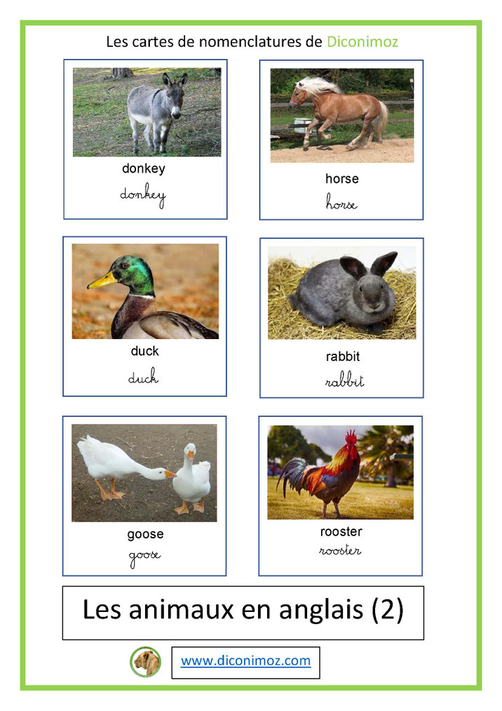 LISTE DES ANIMAUX EN ANGLAIS - Dictionnaire des animaux