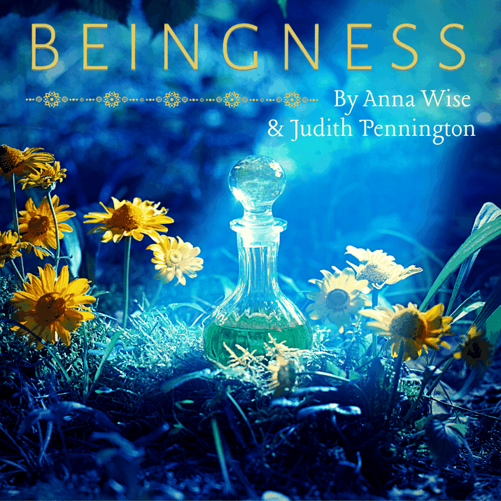 Awakened Mind - Mind Mirror Portal