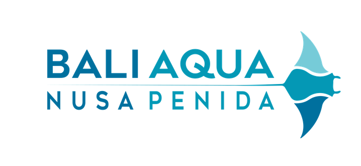 What to visit in Nusa Penida? - Diving Nusa penida