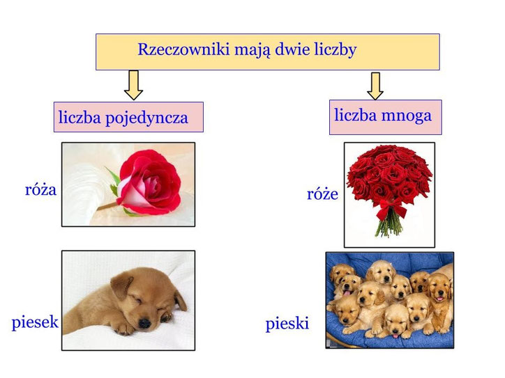 RZECZOWNIKI - zajecia3