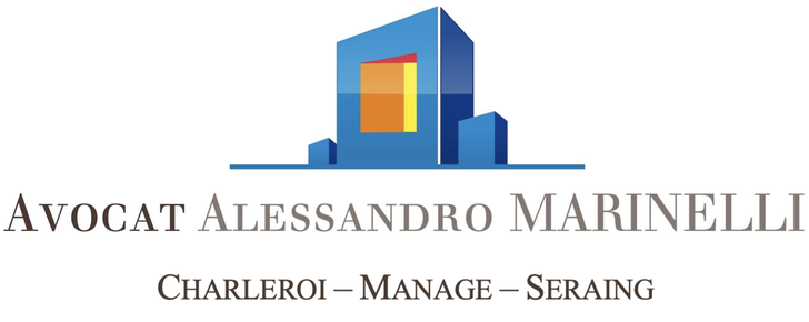 Domaines d’activités - Avocat Alessandro MARINELLI