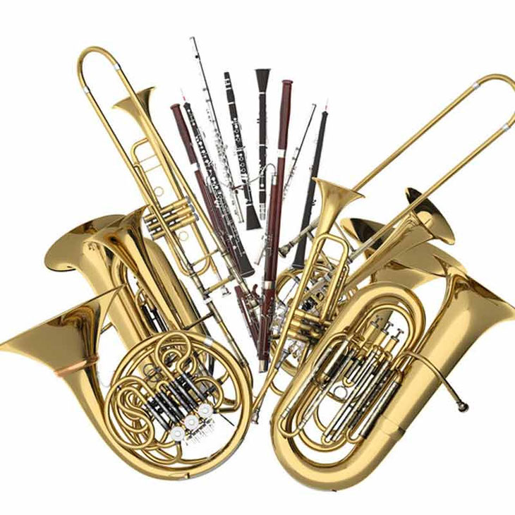 Blasinstrumente - Musikschule Oberursel