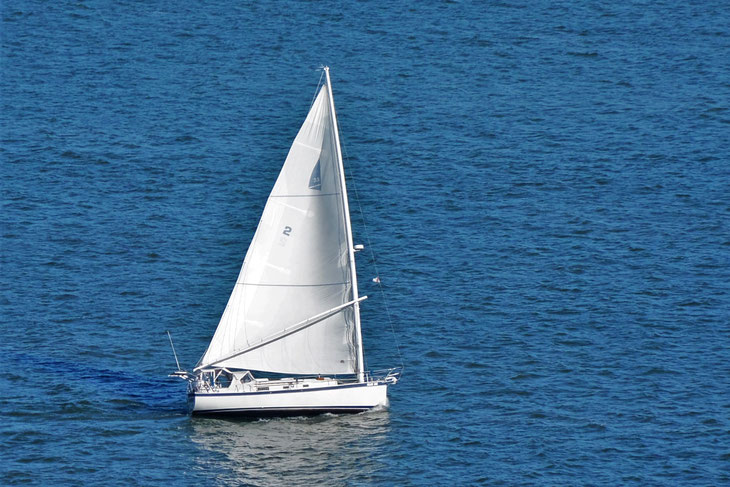 Catboat designers - Catboot Seezunge