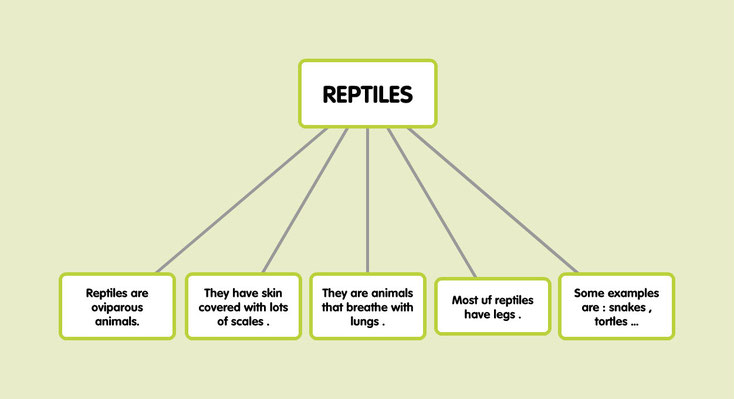 REPTILES - Página web de fiveworldkingdom