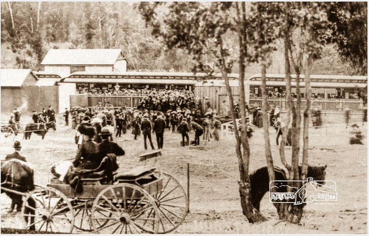 Hurstbridge Line - bozzybus