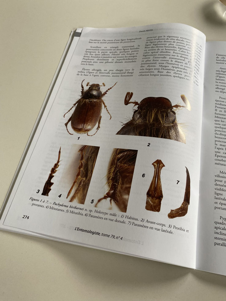 Actualités - Site de insectedumaroc