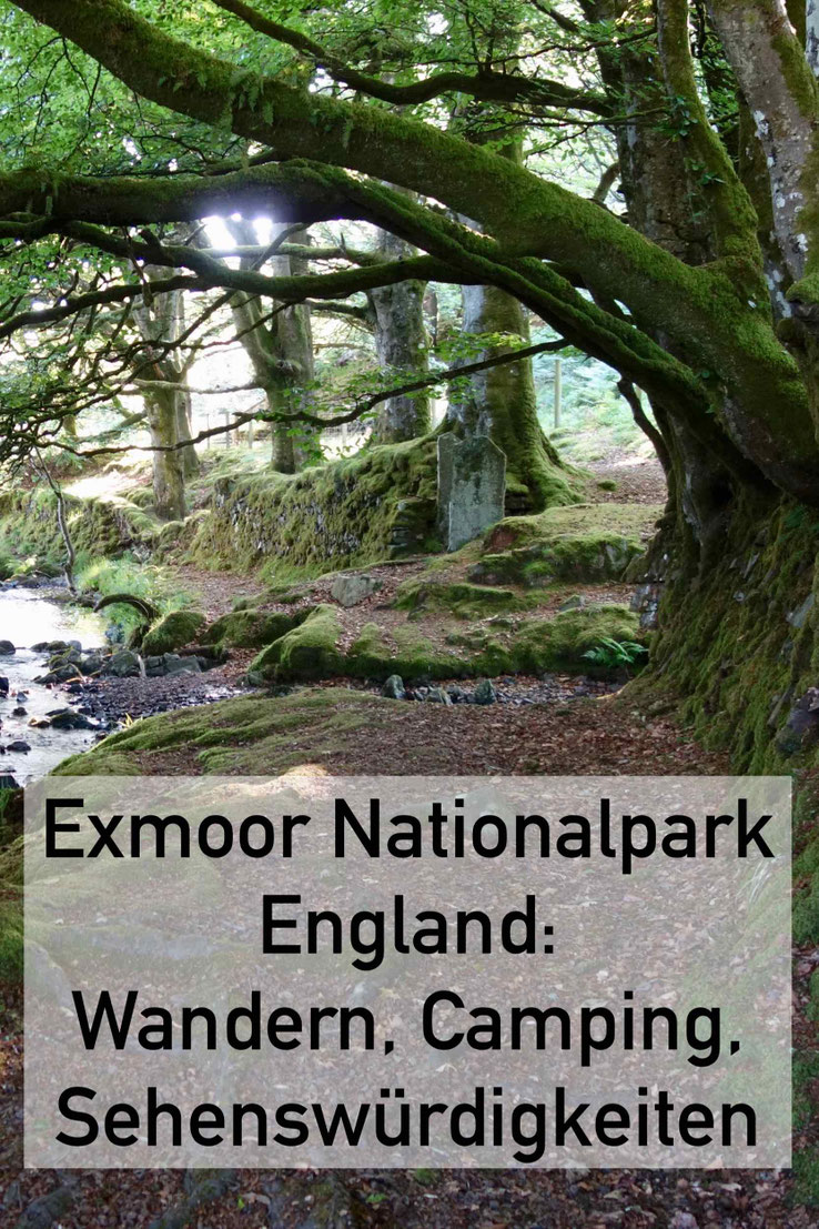 Der Exmoor Nationalpark in England: Sehenswürdigkeiten, Camping ...