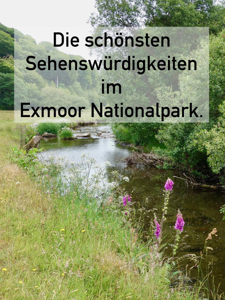 Der Exmoor Nationalpark in England: Sehenswürdigkeiten, Camping ...