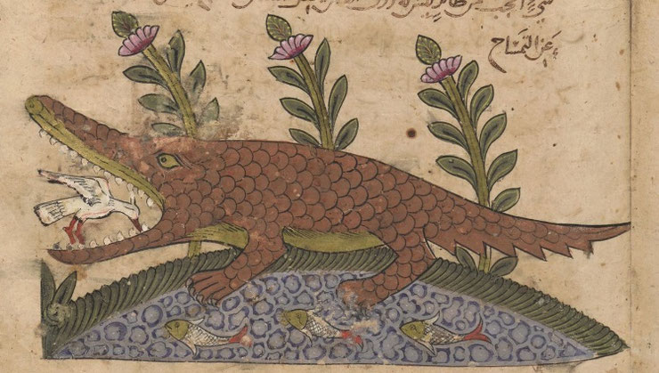 Jahiz Kitab al-Hayawan 869 - pieterderideaux