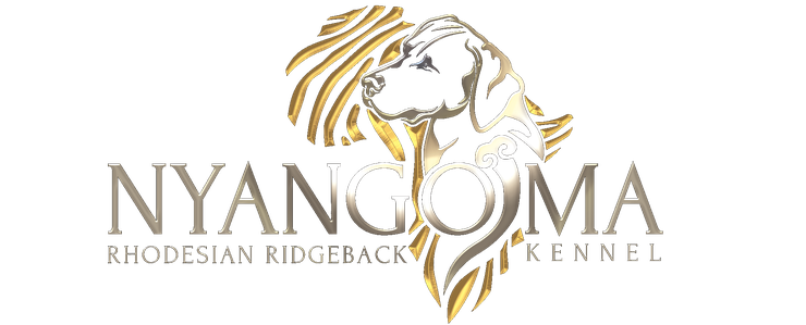 Nyangoma Rhodesian Ridgeback Kennel - Nyangoma