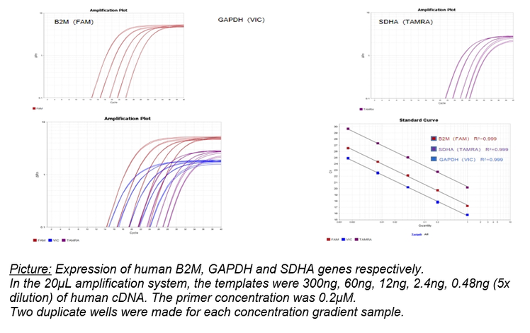 Universal PCR Mastermix; SybrGreen, Hotstart PCR, Real Time PCR, Luna ...