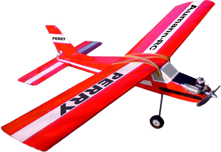 Shop Robbe Rasant - aumann-rc