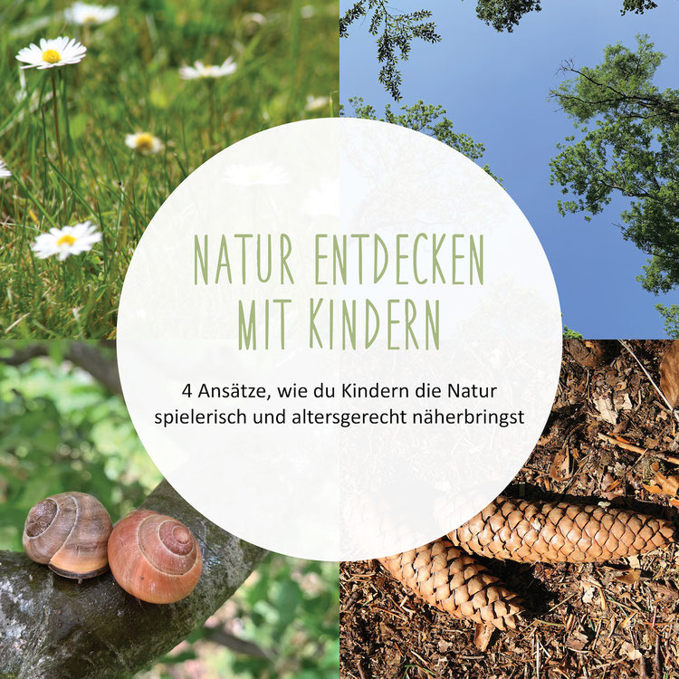 Online-Kurs "Natur entdecken mit Kindern" - Natur entdecken mit Kindern