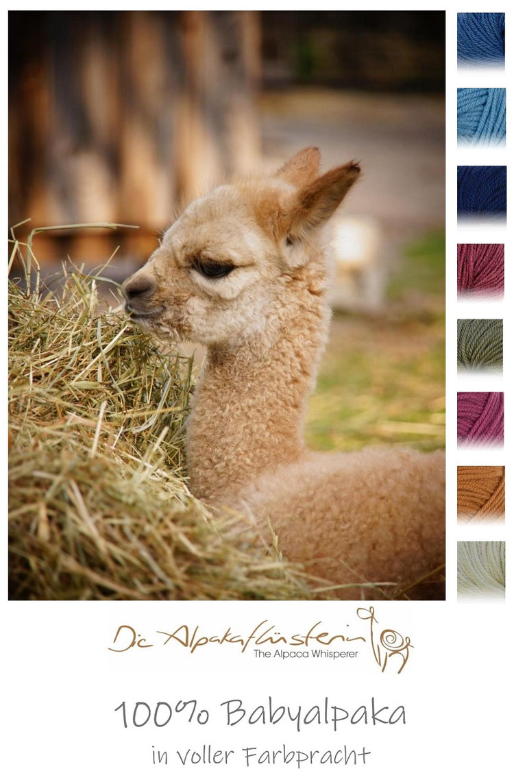 100% Alpakawolle - Die Alpakaflüsterin | Alpaca Finca im Spreewald ...